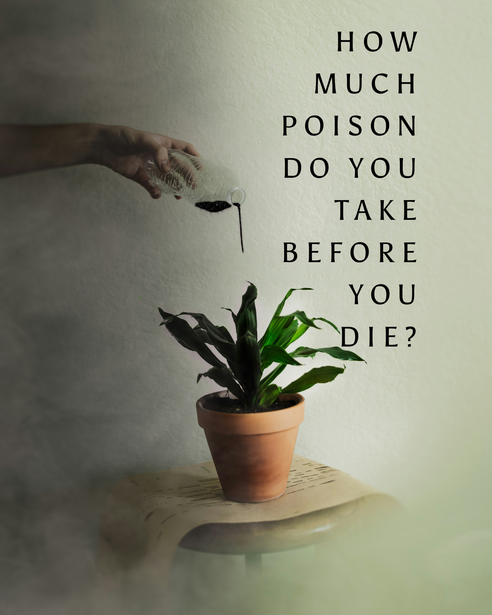 How Much Poison Do You Take Before You Die? | SomeonesMother